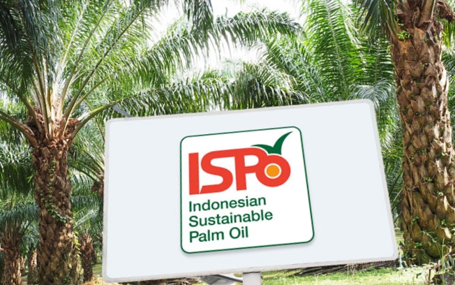 Pemerintah Terbitkan Perpres Terbaru tentang ISPO, Ini Isinya