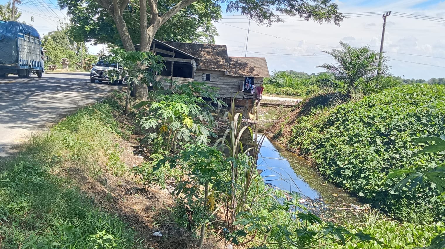 Jalan Lintas Nasional di Aceh Tamiang Terancam Rusak, PTPN I Harus ...